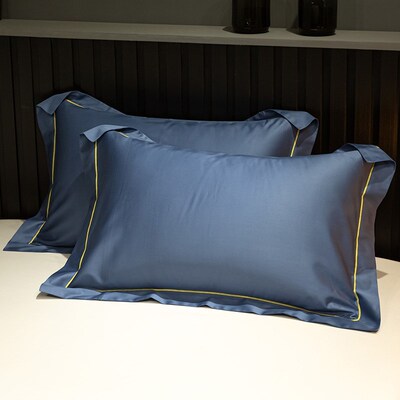 a类100支全棉枕套单只学生小枕套v40x60单个35x55一只纯棉30x50x8