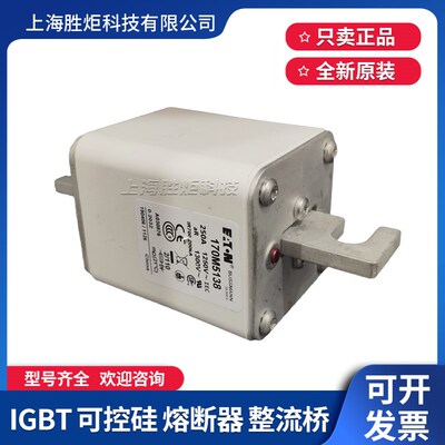 170M5138 5139 l5140 5141 5142 5143 5144 5145 5146 5147熔断器