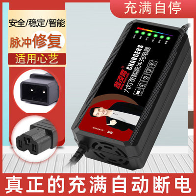 适用新国心艺可人电动车充电器48V20AH60V72V20AH凤凰两针