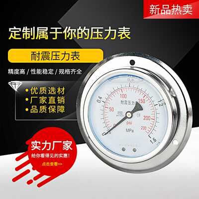 耐震压力表YN100ZT 背接抗震液压水压气压真空表 轴向带边油
