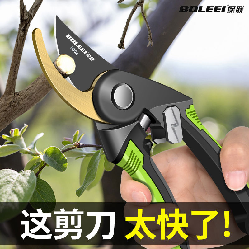 保联修枝剪园艺剪刀剪树枝专用剪刀园林修剪果树修枝花艺修花