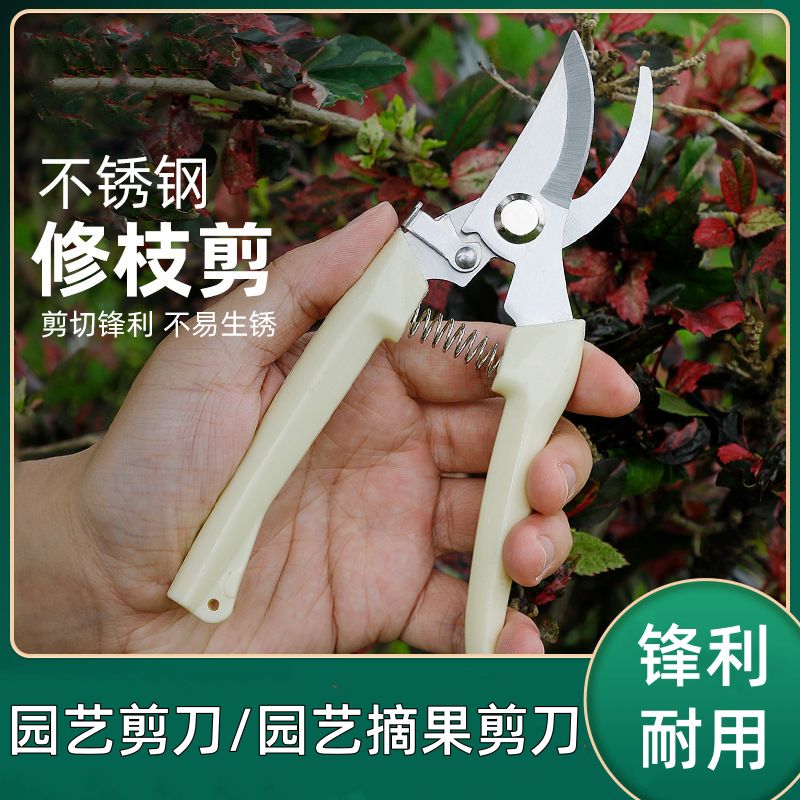怡奥剪刀园艺剪修剪树枝园林果树专用剪子盆栽修枝修花枝花艺