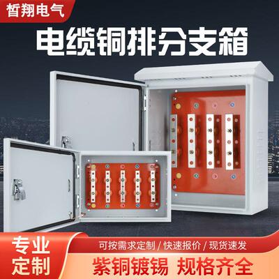 低压电缆分支箱铜排T接转换箱楼层转换箱分流箱BTTZ绝缘电位箱