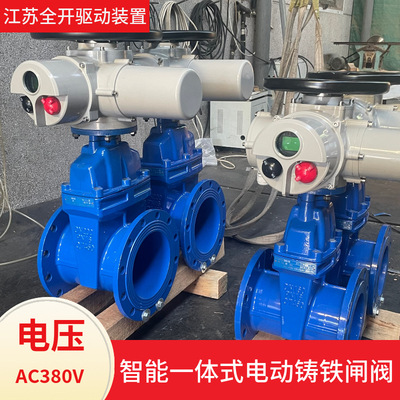 Z945X-1.0mpa DN300电动软密封闸阀 铸铁明杆弹性座封阀大口径