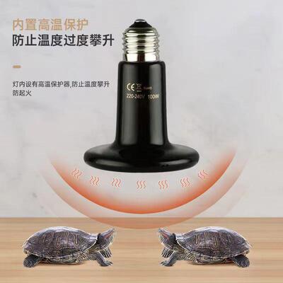 跨境鸡育雏保温灯陆龟蜥蜴蜘蛇蛛陶暖瓷保温灯宠物SAU保陶小瓷加