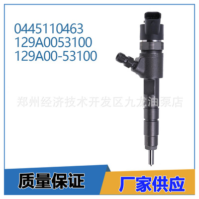 129A00-53100 129A0053100 柴油发动机共轨喷油器 129A00 53100