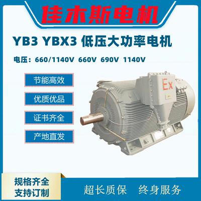 低压大功率0电机 佳木斯 YBX3系列 YE3/系列660110V6460V69V1140V