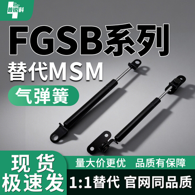 氮气气弹簧FGSB 15050A B 15100A B 22100A B 22150A B 22200A B