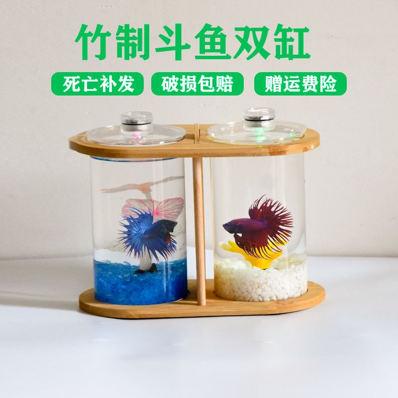 斗鱼排缸斗鱼组缸斗鱼鱼缸多格养斗鱼的鱼缸斗鱼组合鱼缸生态瓶