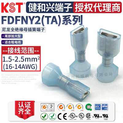 KST健和兴FDFNY2-110(5)TA/2-187(8)TA/2-250TA 尾部加大插簧端子