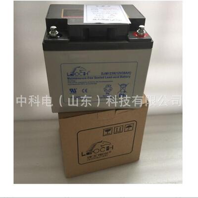 广西理士38AH电池 DJM1238S12V38AH铅酸免维护太阳能储能光伏发电