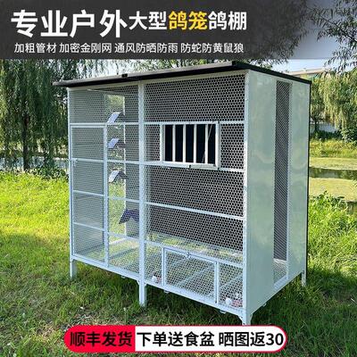 鸽子笼鸽舍鸽棚大号家用鸽笼大型鸟笼鹦鹉笼特大养殖繁殖专用笼子