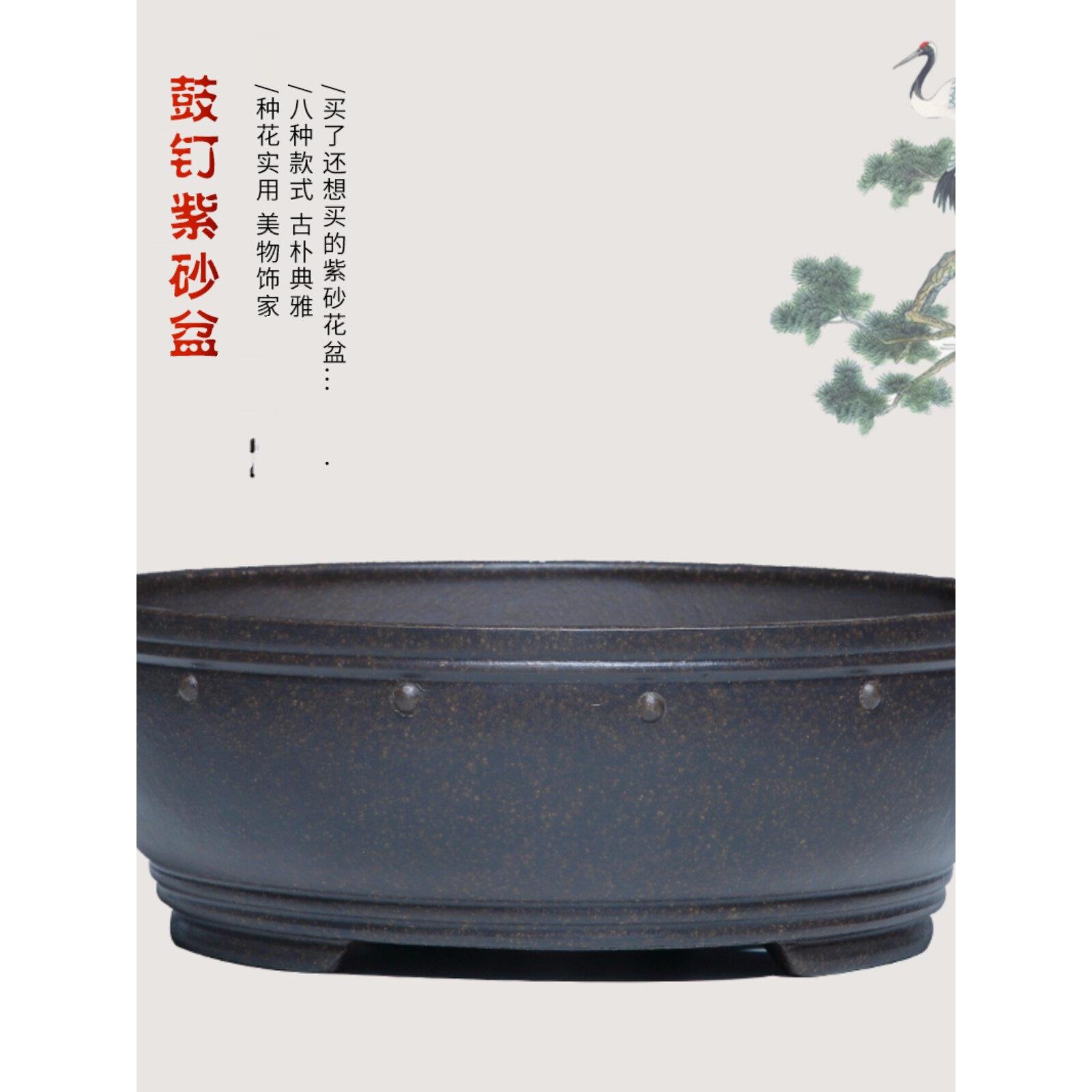 浅口花盆古铜泥鼓钉紫砂花盆金钱草菖蒲盆景盆苔藓植物水培花盆