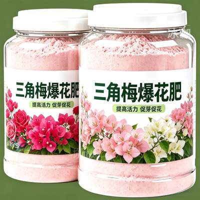快速开花粉三角梅光杆催花速冒苞