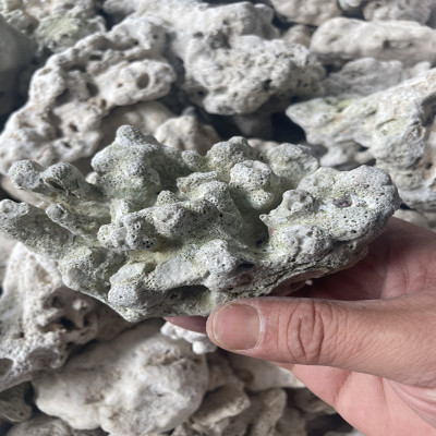 天然死石海缸造景石珊瑚石水族造景假山三湖慈鲷躲避屋Z淡海水通