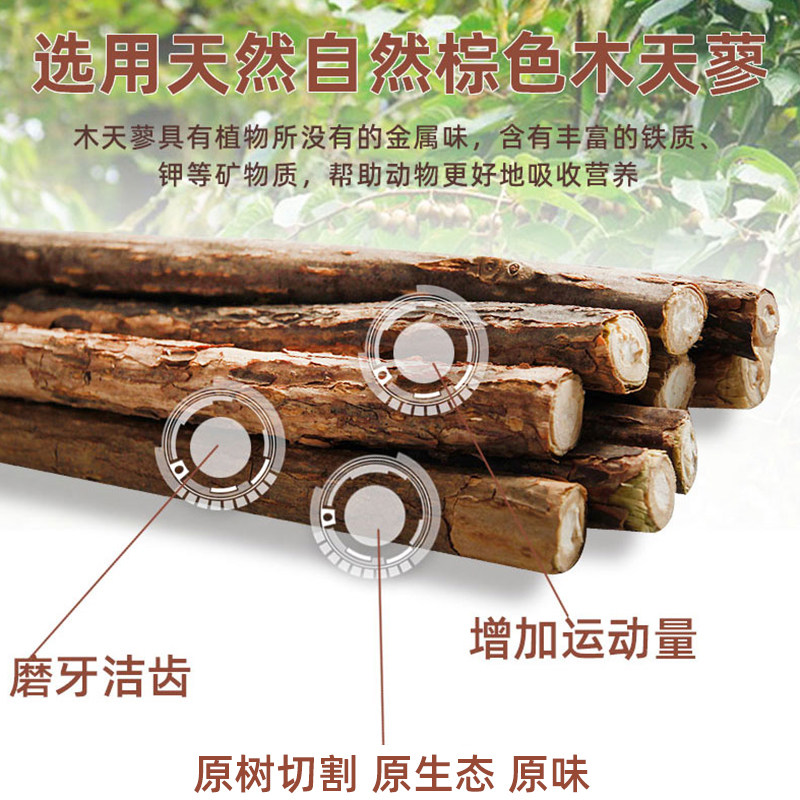 猫咪磨牙棒猫薄荷木天蓼洁齿逗猫棒解闷自嗨猫咪用品玩具幼猫零食