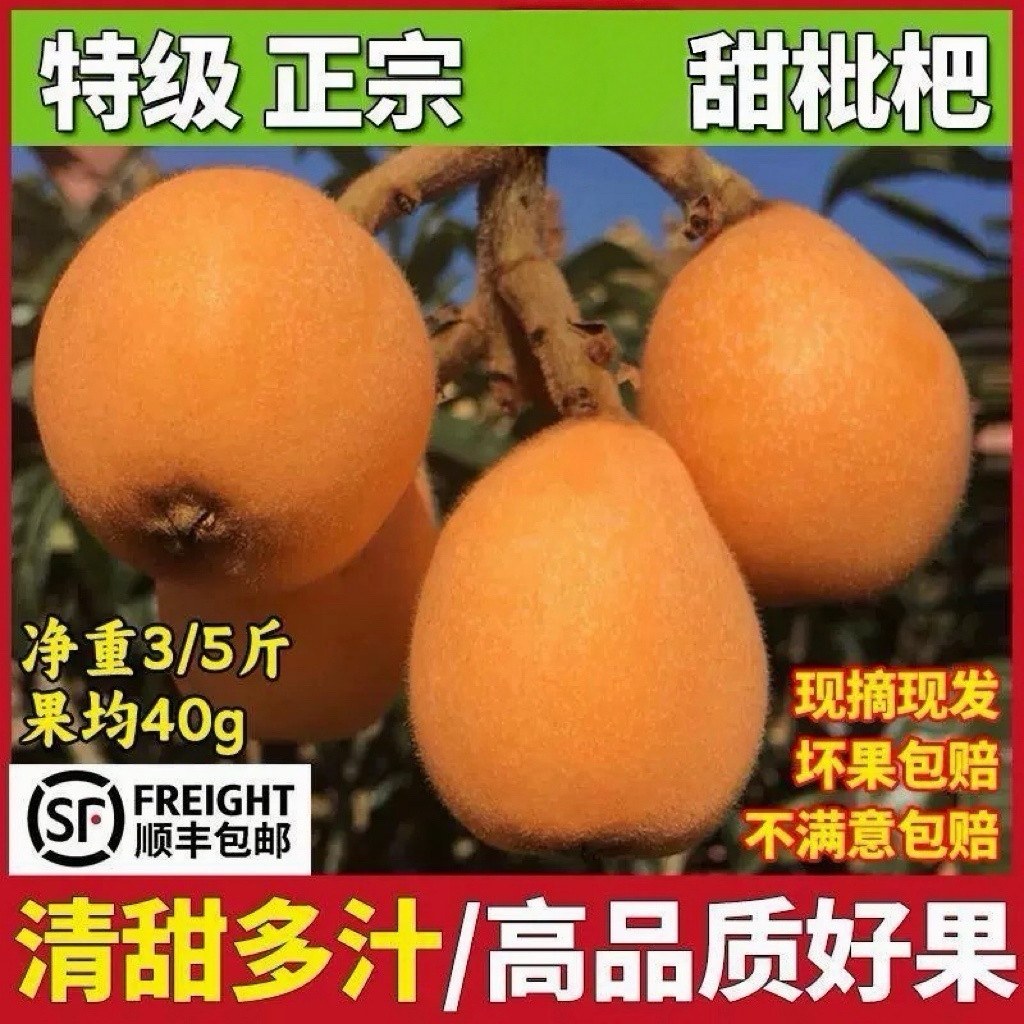 特级枇杷产区攀枝花新鲜水果当季早钟鲜果顺丰包邮5斤大果甜米易