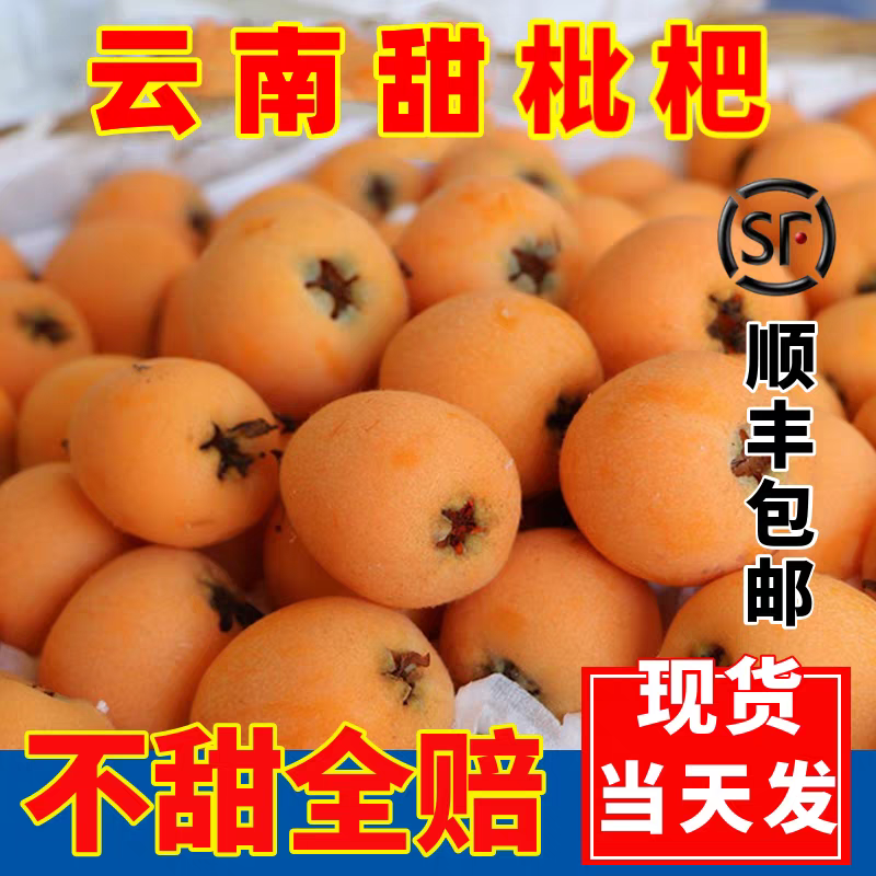 枇杷5斤新鲜水果产自云南蒙自米琵琶果易批把果五琵笆果星大枇杷