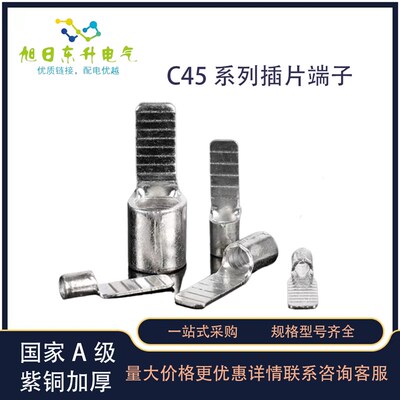 C45-10平方紫铜焊接片形插片it插针空开接线端子线鼻端头焊缝镀银