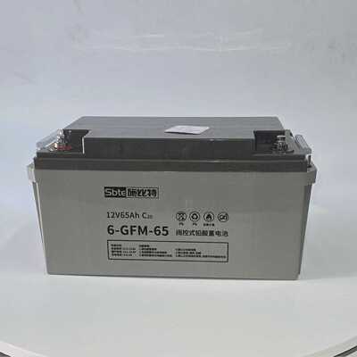 施比特蓄电池6-GFM-65免维护12V65AH直流屏/基站UPS电厂专用