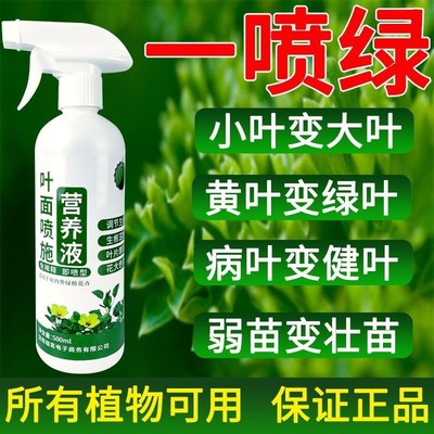 绿黄叶变绿叶面肥蔬菜花卉果树植物通用营养液黄叶死苗一夜绿