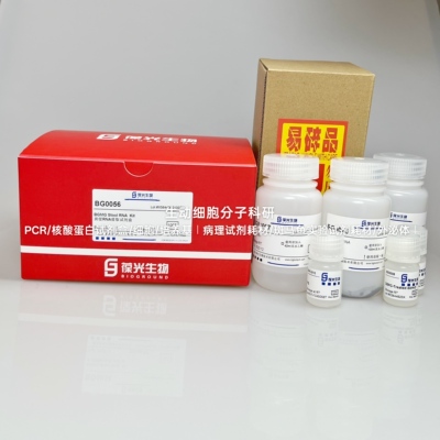 BGMG Stool粪便RNA提取试剂盒,磁珠法,快速释放样本RNA,高效提取
