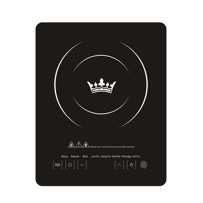 110V电磁炉家用火锅炒菜炉多功能电池炉灶induction cooker英文版