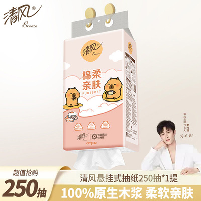 清风卡皮巴拉挂抽4层250抽10大提