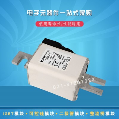 巴斯曼快速熔断器170M4259 4260 4261 4262 4263 4264 4265 4266