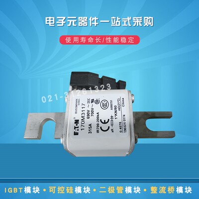 快速熔断器保险丝170M3058 3059 3060 3061 3062 3063 3064 3065