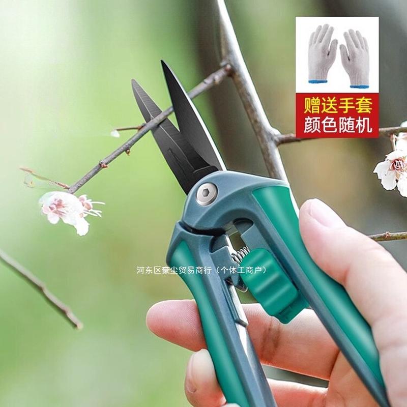 园艺剪枝剪刀修枝剪果树园林花艺剪子工具修剪树枝剪刀花剪