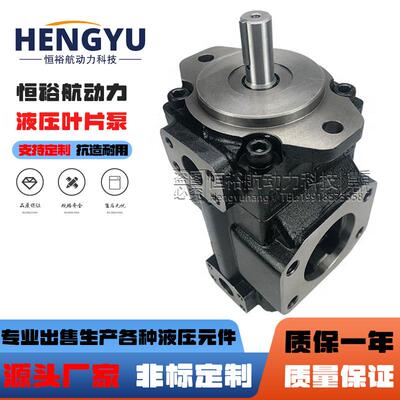 Denison丹尼逊叶片泵T6CCT6DCT6ECT6DC-022-008-1R液压油泵