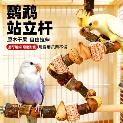 天然干果鹦鹉站杆！磨牙磨爪玩具