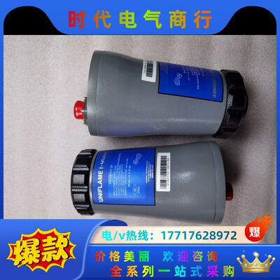 401111-21 原产 FORNEY 火检传感器 全新议价