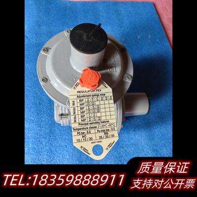 Pietro Fiorentini菲奥伦蒂尼调压阀询价