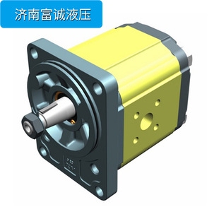 意大利VIVOLO进口 X2P5542FSRA液压工作台液压齿轮泵