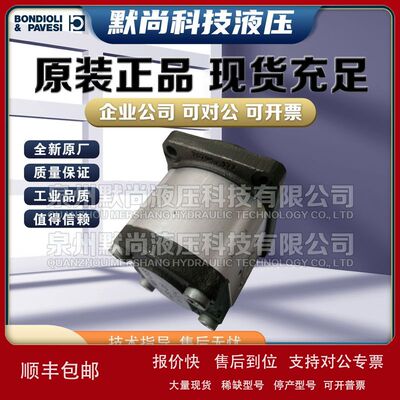 邦迪奥利BONDIOLI齿轮泵HPLPA114SDDE2E2B HPLPA119SDDE2E2液压泵