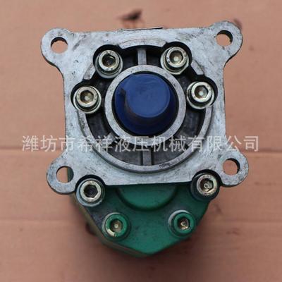 齿轮泵 厂家货轮泵FC现5齿0-32双联轮泵 专CLV业各种型号齿泵