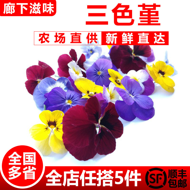 【廊下滋味】新鲜三色堇50朵/盒 角堇瑾西餐摆盘装饰点缀花草