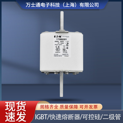 巴斯曼170M6080170M6081170M6082170M6083170M6084608560866087