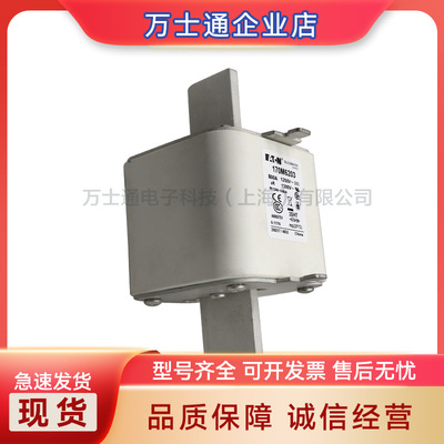 170M6261/6262/6263/6264/6265/6266/6267/6268全新熔断器现货