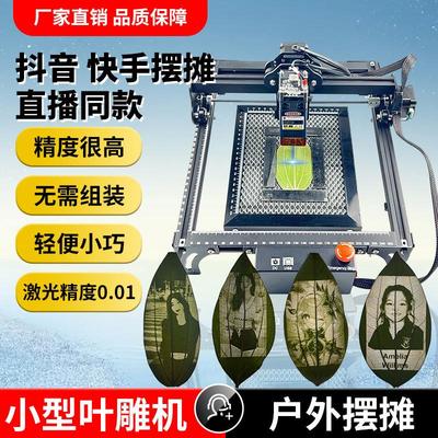 激光雕刻桌面小型全自动切割机大功率叶雕摆摊树叶携带方便打标机