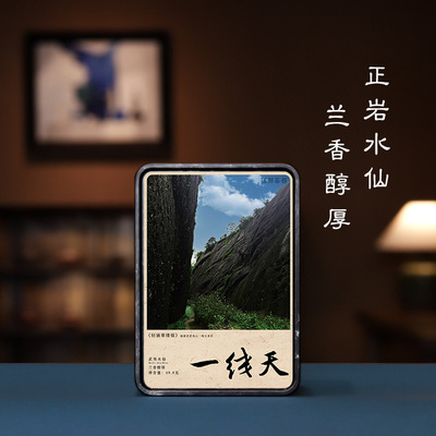 【武夷岩茶·酣畅淋漓】一线天高枞水仙 兰香醇厚武夷山正岩49.8g
