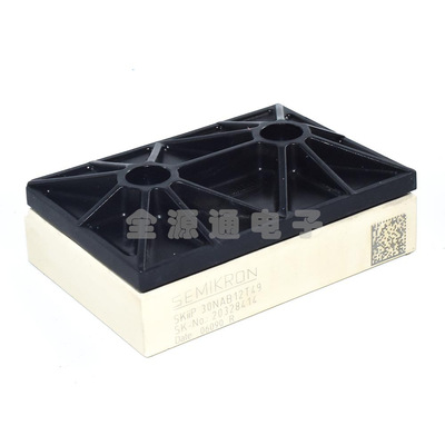 全新SKIIP30NAB12T49 功率IGBT模块 直销SKIIP30NAB12T49