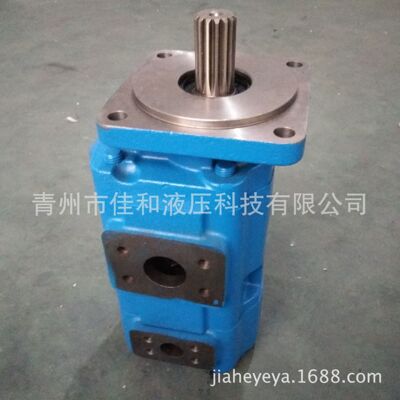 青州工作泵4120002266    临工装载机齿轮泵JHP2100/Gj0010A-XF