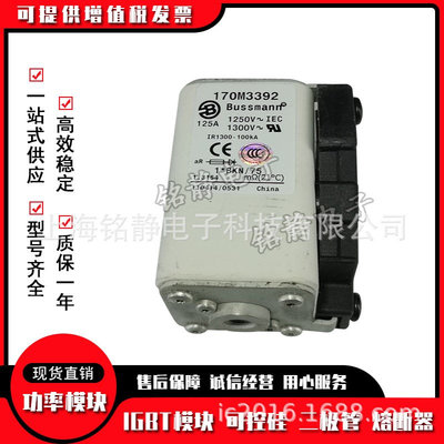 170M3419 170M3420 170M3421 170M3422 170M3423巴斯曼保险丝