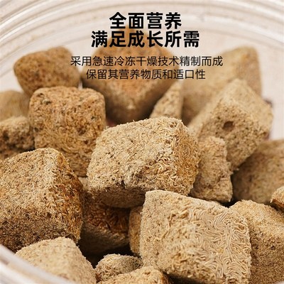 冻干红线虫鱼食观赏鱼饲料孔雀鱼灯科鱼小型N鱼通用鱼粮水蚯蚓贴