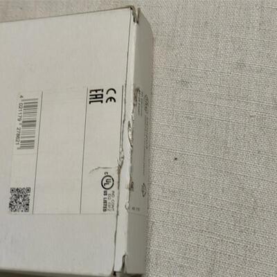 IFM易福门DD0203安全栅D200/FR1A  110-240VAC 24VDC全新现货