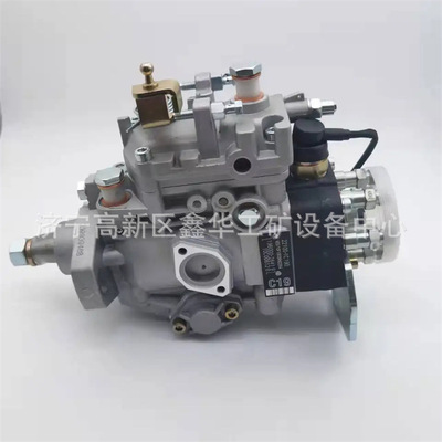 专业销售VE泵总成104641-3950 104641-3950