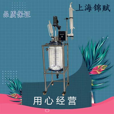 RAT-30L双层玻璃反应釜 夹套 蒸馏反应器